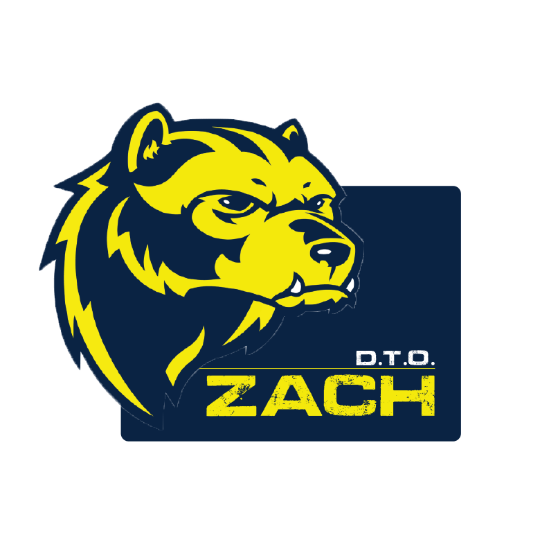 Logo designs – Daniela Trujillo